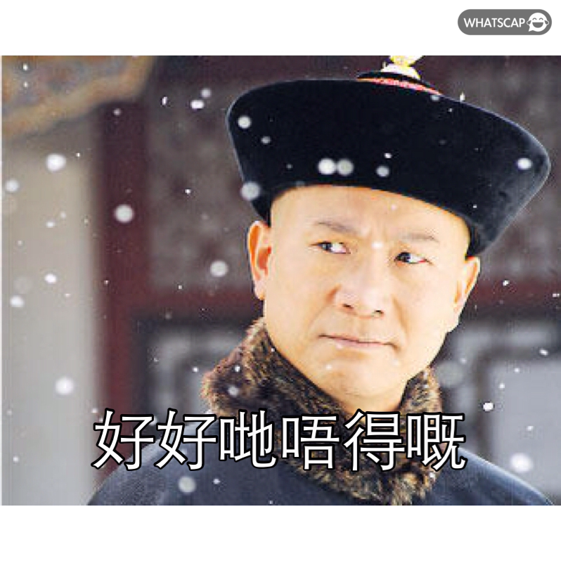 好好哋唔得嘅 Whatscap