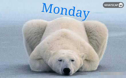 monday, 星期一 | Whatscap