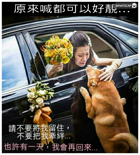 原來喊都可以好靚 | Whatscap