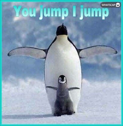 You jump I jump | Whatscap