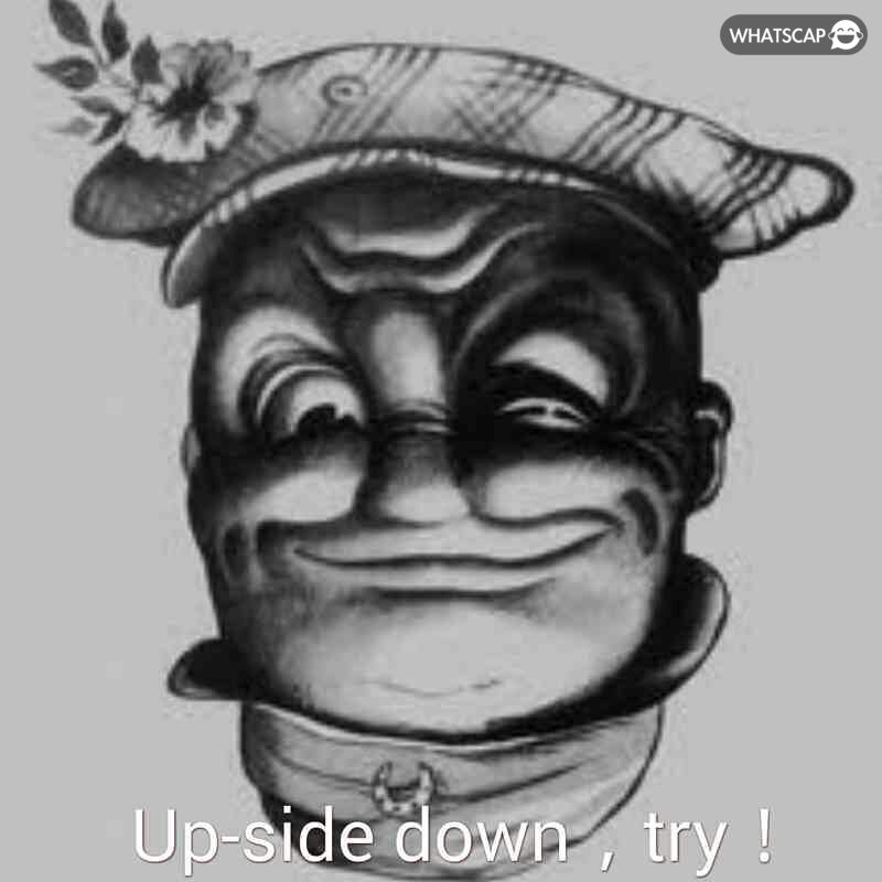Up Side Down Whatscap up-side-down-whatscap