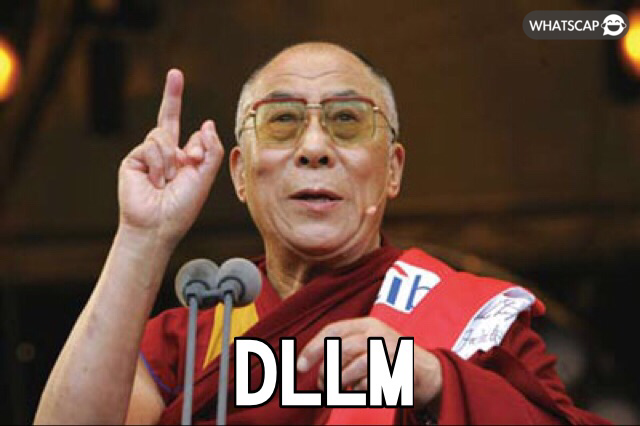 DLLM | Whatscap