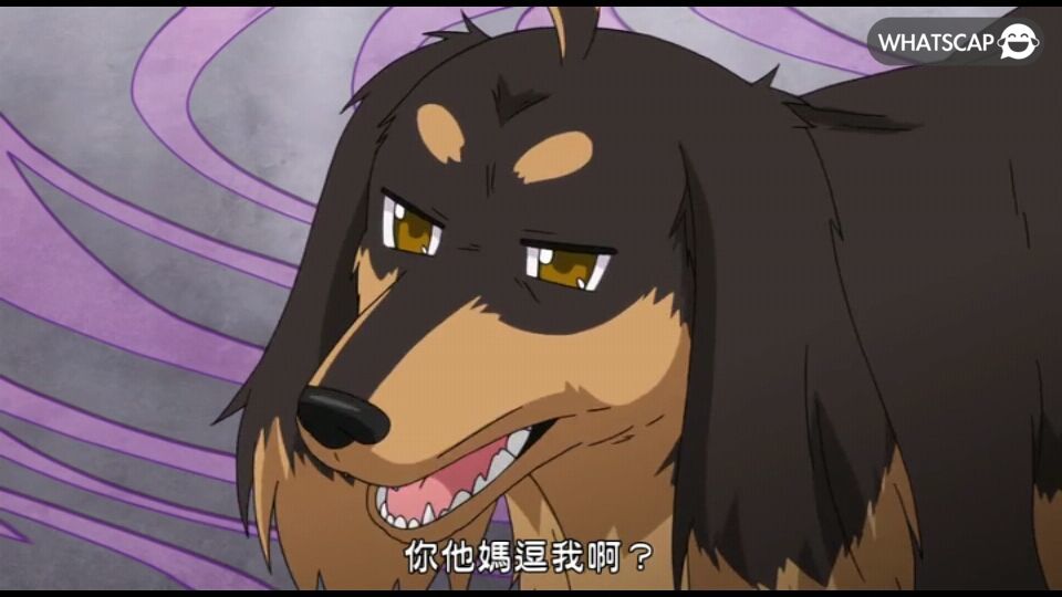 你他媽逗我啊 | Whatscap