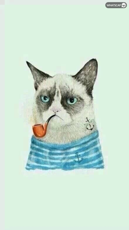 好嗨窜波 | Whatscap